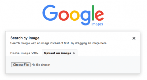 How to Do a Reverse Image Search Smartly in 2024