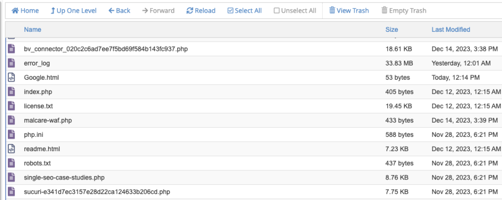 5 Easy Search Console Verification Process for New Websites