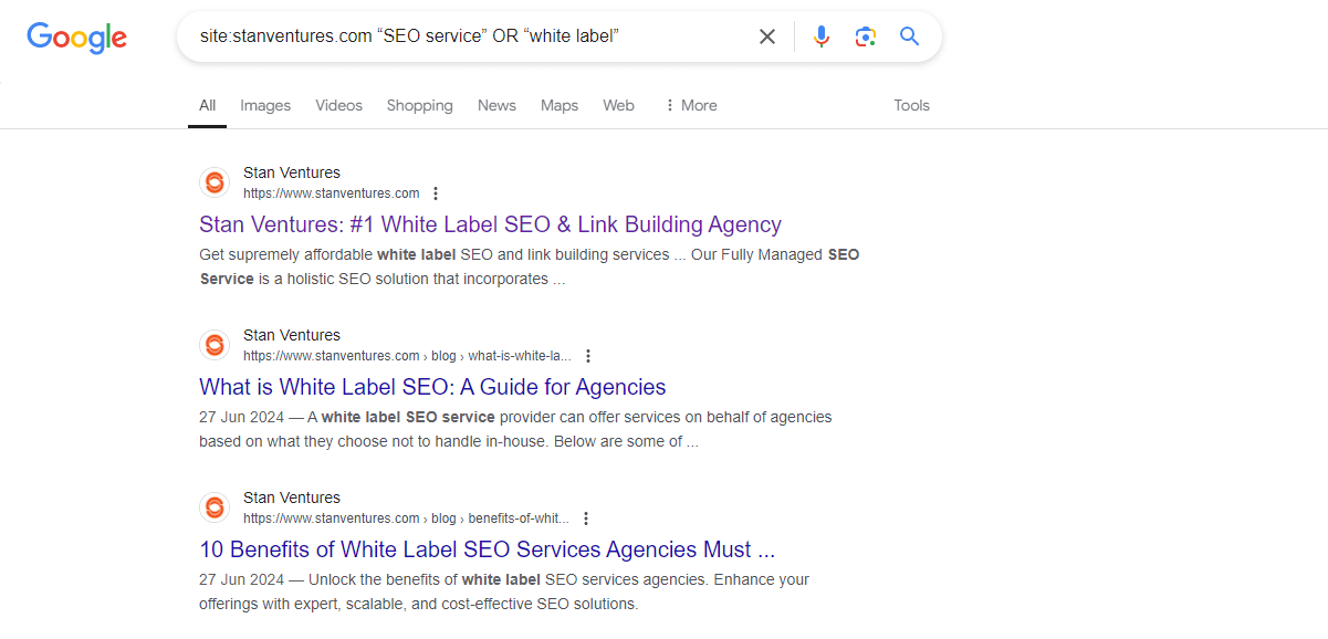 How to Search Within a Website Using Google