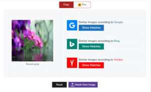 Reverse Video Search Guide: How to Reverse Video Search