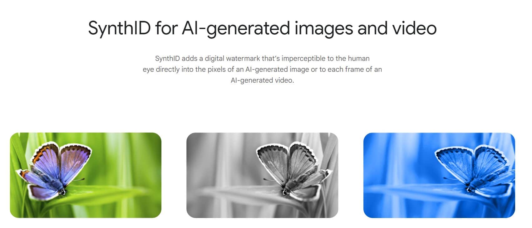 Google Will Soon Flag AI-Generated Images: Here’s Why It Matters - Stan Ventures